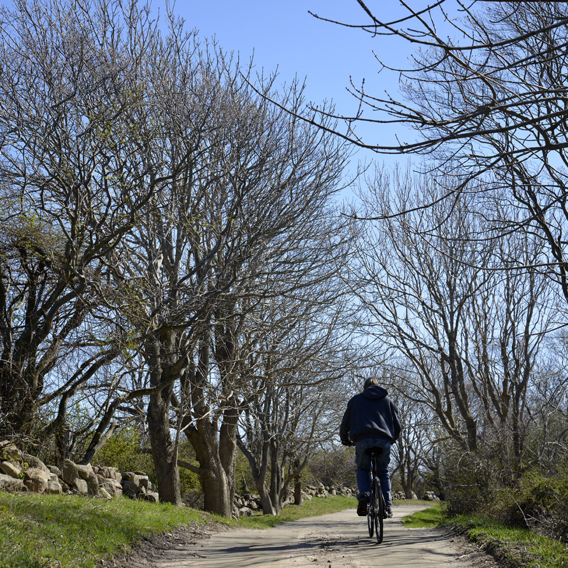Gallery - Welcome to Beach Rose Bicycles - Bike Rentals Block Island RI
